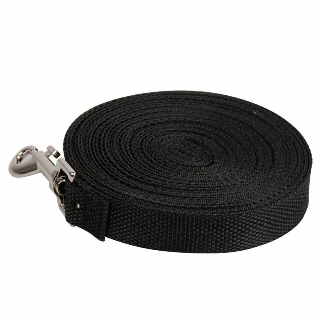 Beau Pets Training Lead - MyPetZone