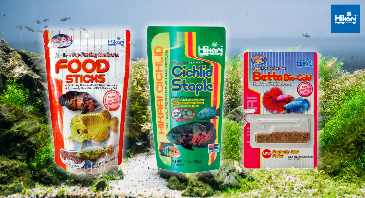 Hikari Aquarium Food Now Available - MyPetZone