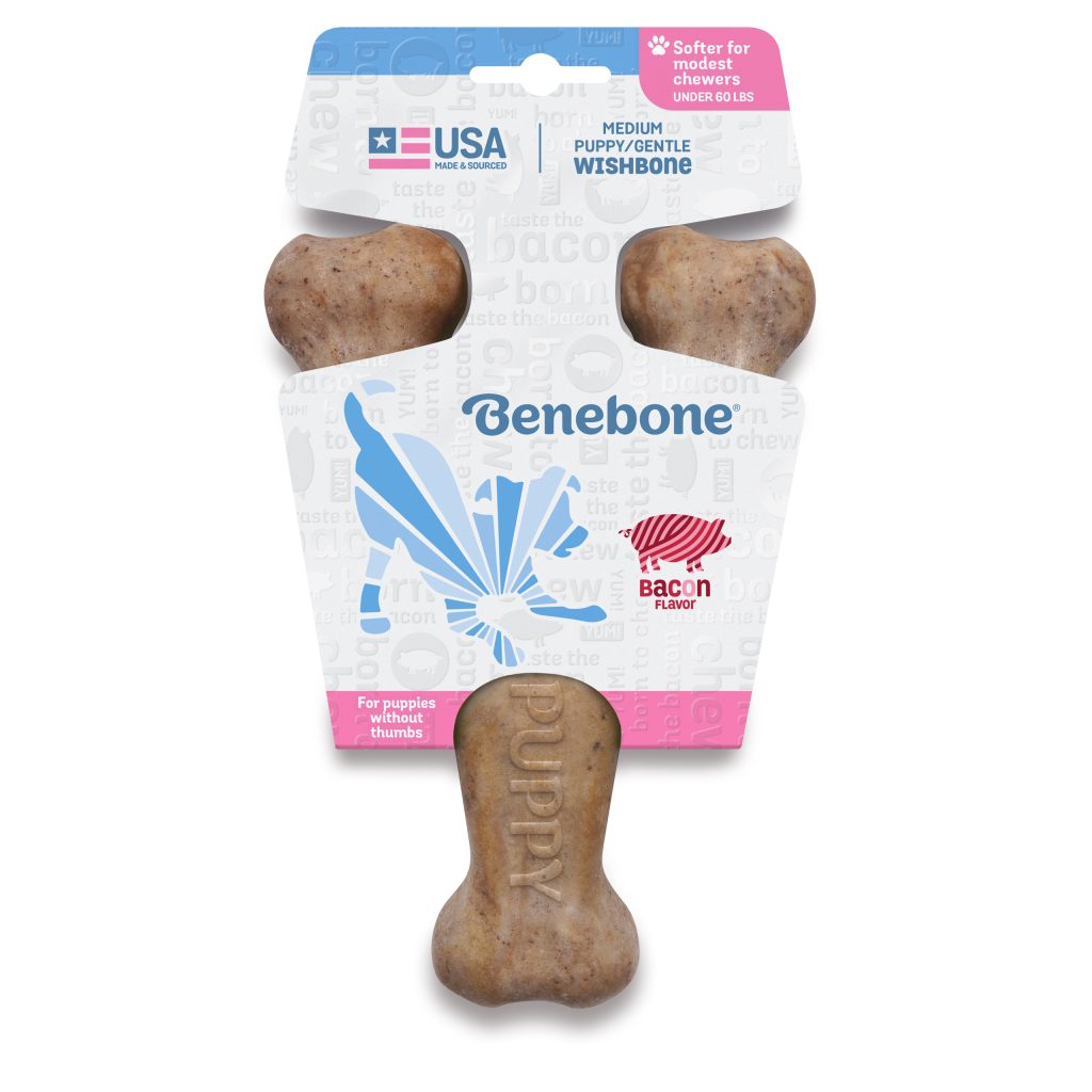Benebone Puppy Wishbone - Bacon - MyPetZone