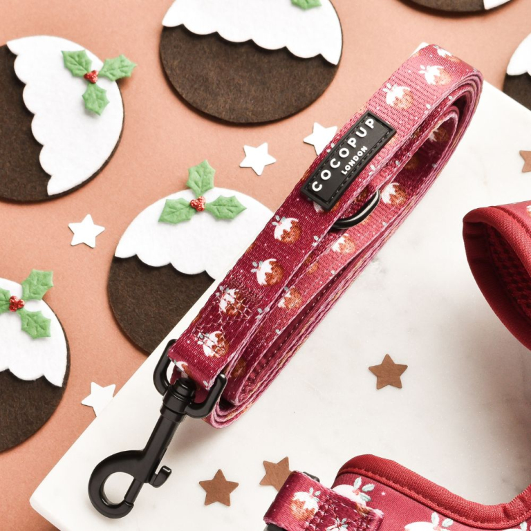 Cocopup London Lead - Woofmas Pudding - MyPetZone